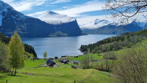 Norsk landbruk - tall og fakta - Landbruksdirektoratet
